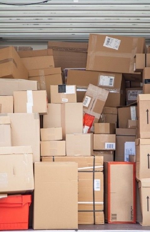 Whatnot - STORAGE UNIT Fun Stuff! Livestream by junkjunkies #storage ...