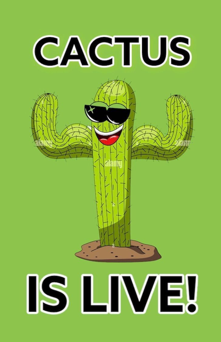 Whatnot - LETS GO BIG (FREE TEAMS) w/ 🌵🌵🌵 Livestream by crackedbreaks # ... Whatnot - LETS GO BIG (FREE TEAMS) w/ 🌵🌵🌵 Livestream by crackedbreaks # ...