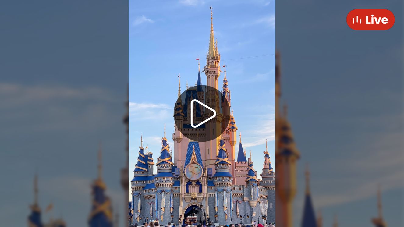 Whatnot - 🔥Disney clothing, collectibles, decor, and more!🔥 Livestream ...