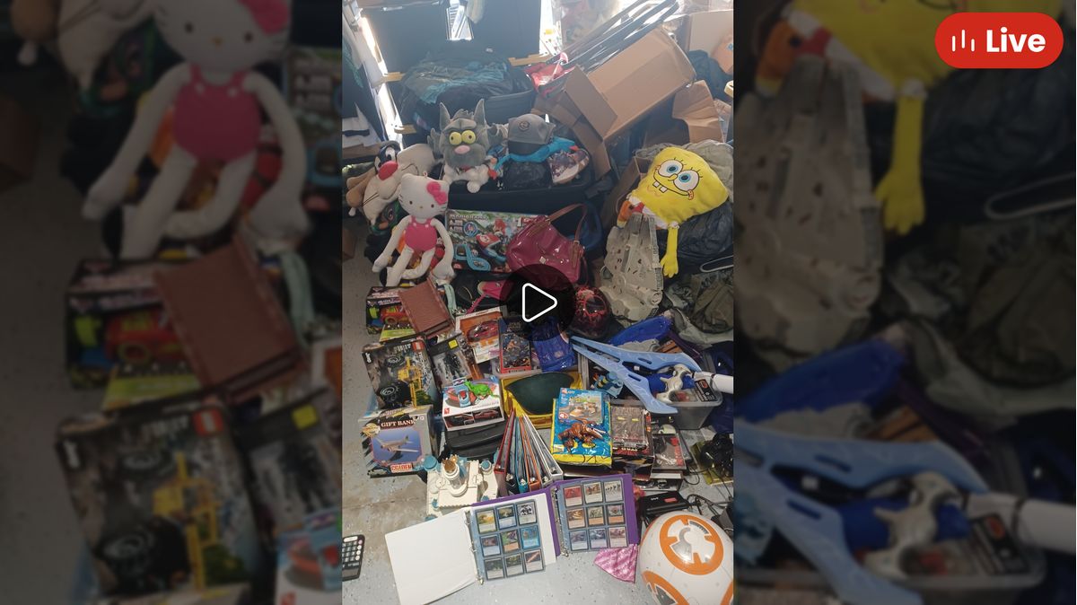 Magic Cards, Video Games, Toys, Cards, Purses, Plushies Collectibles ...