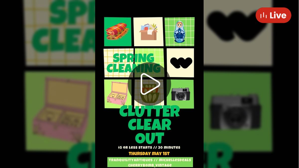 Spring Cleaning Clutter Clear Out RAID TRAIN!! · hannahhuntswithlu ...