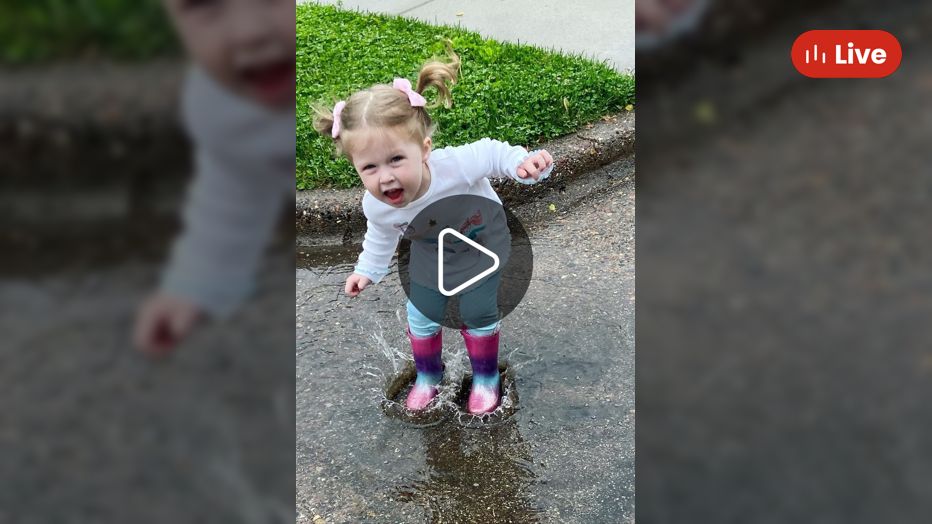 12-18m GIRLS!!!! · keirkenn · Whatnot: Buy, Sell & Go Live