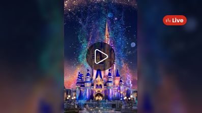 TBD $1 Start Disney + LF Giveaway · lacedupmiami · Whatnot: Buy, Sell & Go Live
