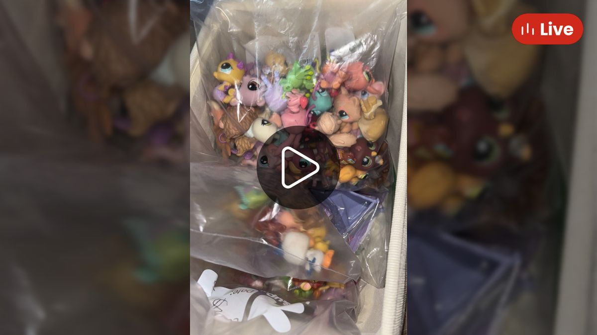 LPS LITTLEST PET SHOP SHOW Y2K VINTAGE COLLECTABLES · sunbuns · Whatnot ...