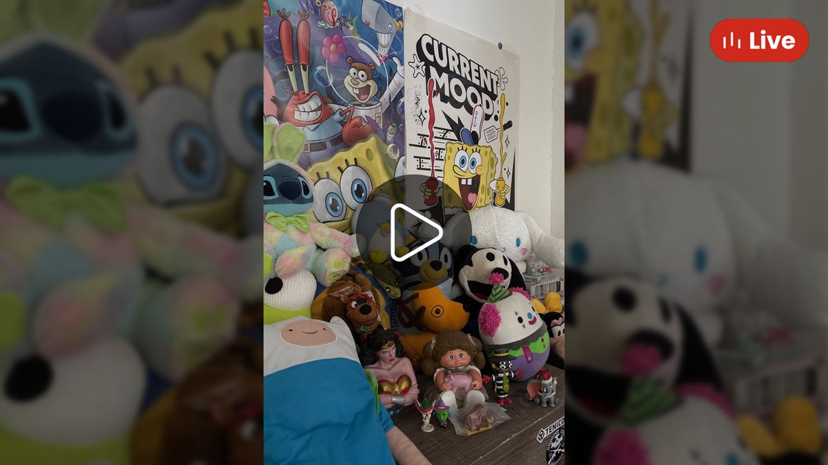 Plush n stuff ! Nothing over $15! Make a bundle and save! · lilianazarate14 · Whatnot: Buy, Sell ...