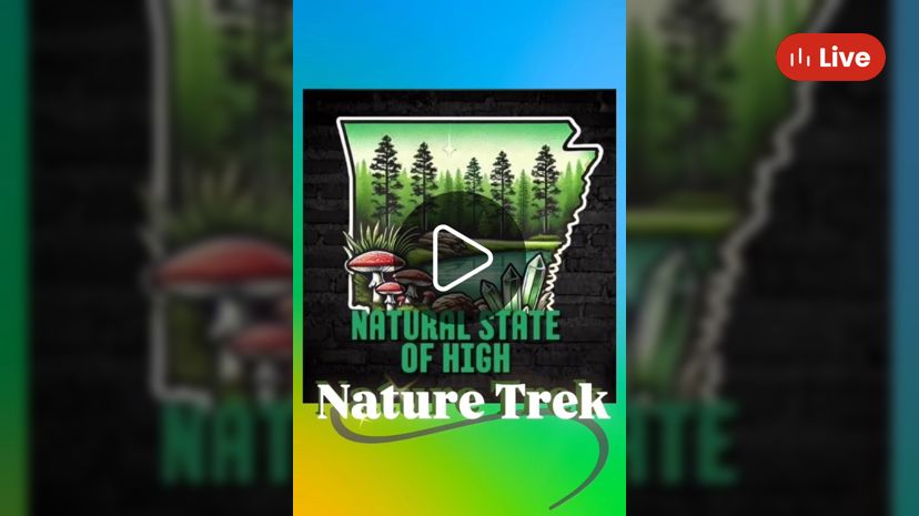 ☀️Morning Nature Trek 🍃 · @naturalstateofhigh · Whatnot: Shop, Sell ...