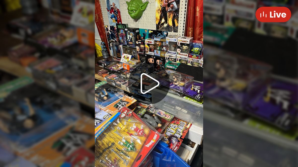 $1 Starts Storage Unit Finds! Collectibles, Toys, Cards, Comics And ...