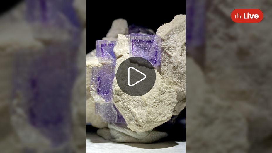 Surprise Wheel of Crystals with Crystal! · @brandontwig · Whatnot: Shop ...