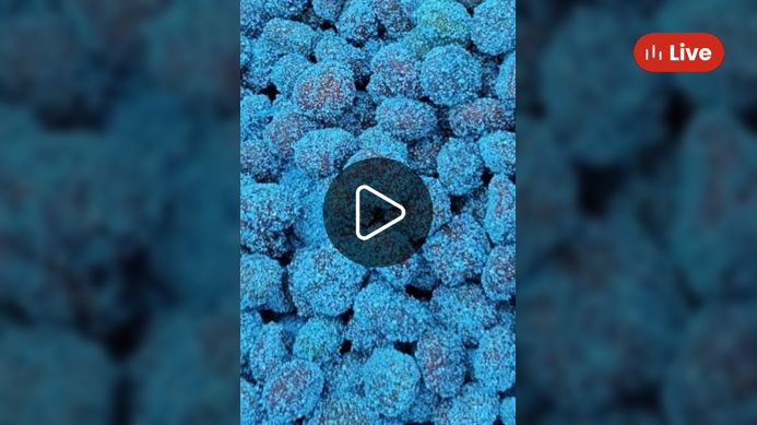 $1 Starts / Flavored Gushers & Freeze Dried Candy By Krunch Bites ...