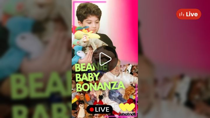 Beanie Baby Boom · @raveauctions · Whatnot: Shop, Sell, Connect