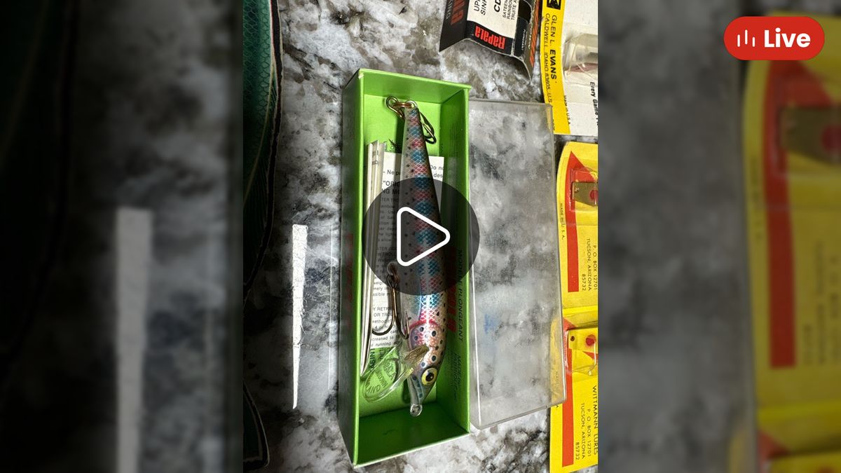 Wednesday Fishing Sales · @bruce1974 · Whatnot: Shop, Sell, Connect