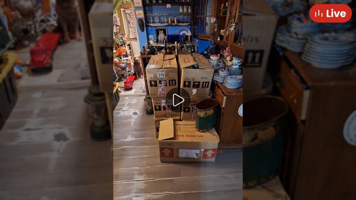 INVENTORY CLEAN OUT EVERYTHING MUST GO TONS OF LOW STARTS starts ...