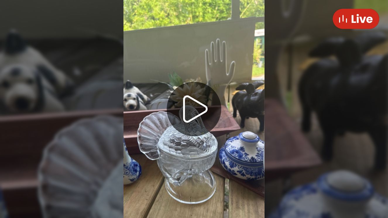 @modern_roots_n_rust's Livestream on Whatnot