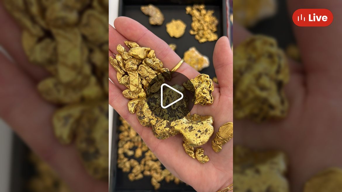 Gold Galore!! 🌟 Nuggets, Specimens, Gold in Quartz, and More ...