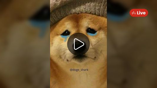 LATE NIGHT GONNING (ft. Surprise set) · @thenolgarian · Whatnot: Shop ...