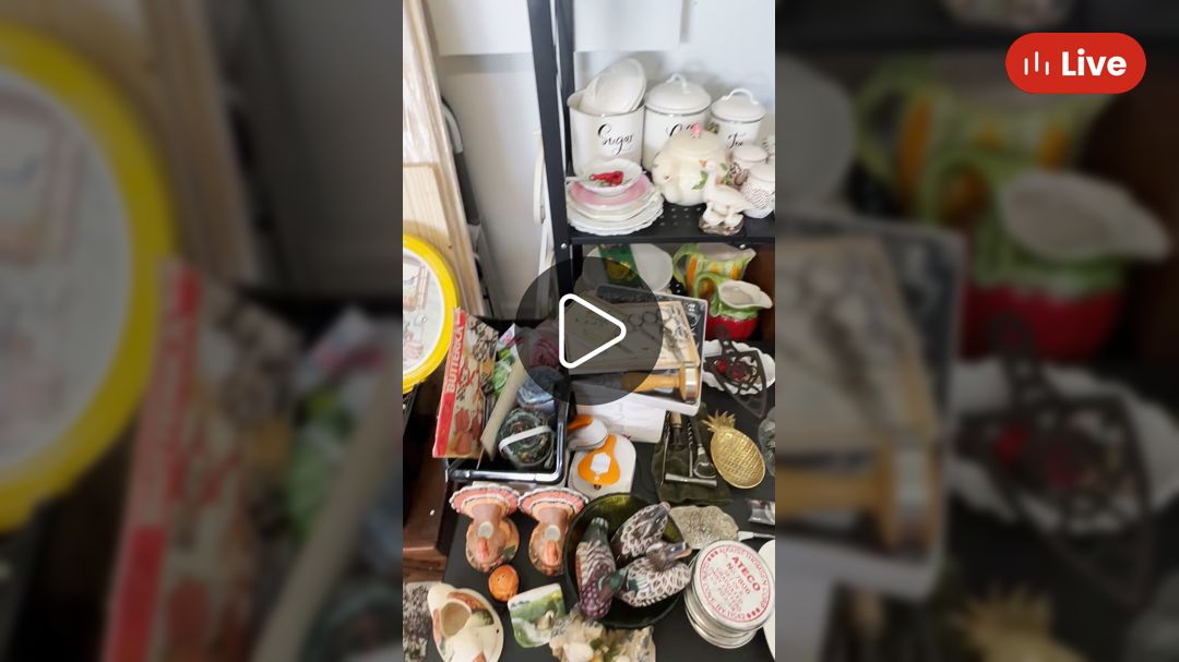 @leezaworks's Livestream on Whatnot