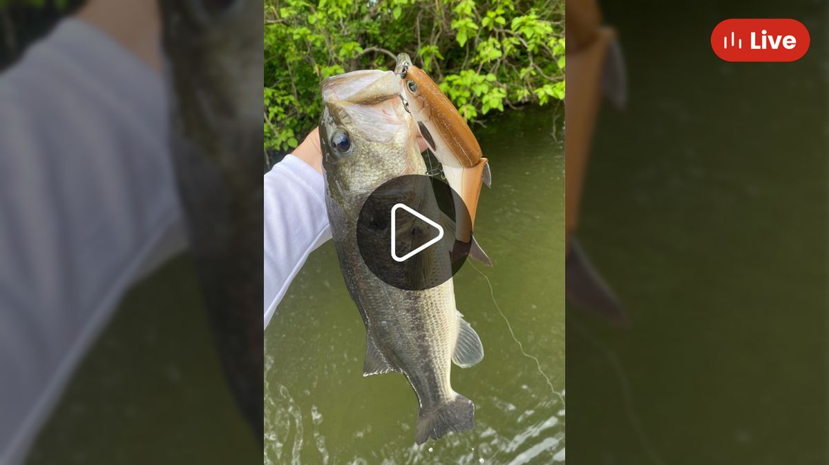 Real Bassin Fishing Show hand painted glides , hinko clones, and pop ...