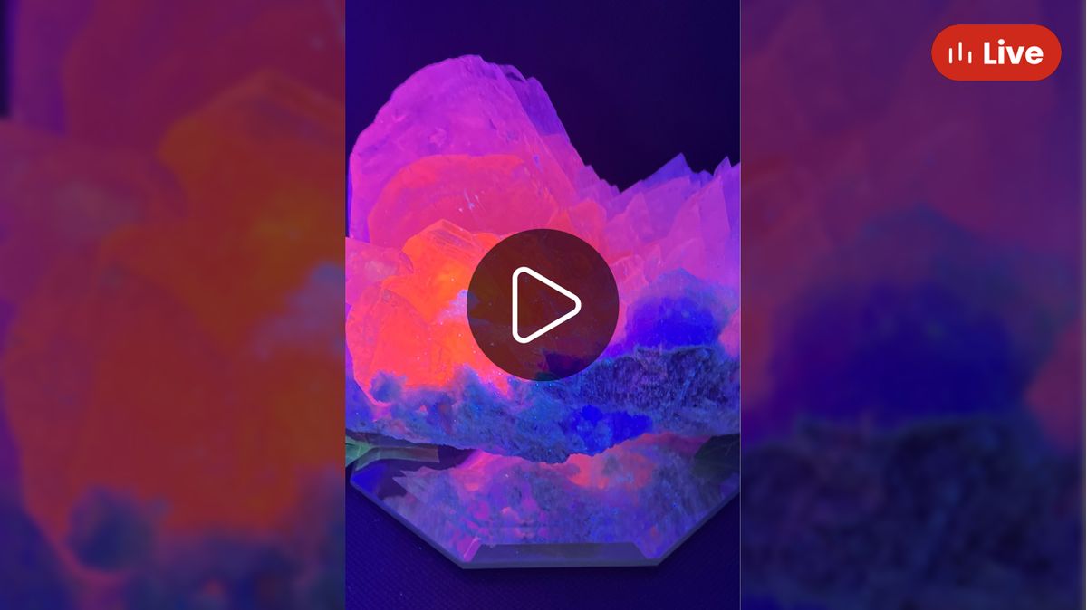 jennifergaf34465 is live · Crystals & Gems · Whatnot: Shop, Sell, Connect