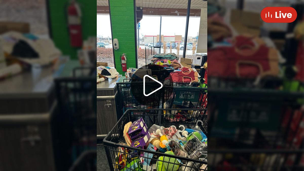 Pet items! Run the room!! Low starts ️🔥🐶 · @styleseverafter · Whatnot ...