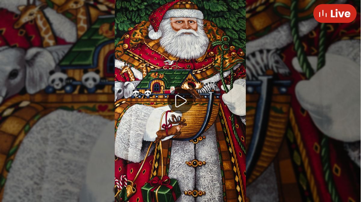 Everything Christmas · @heidibar38492 · Whatnot: Shop, Sell, Connect