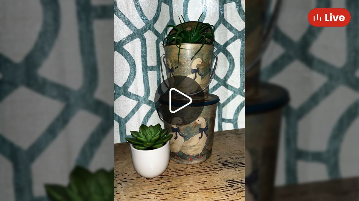 Duck, Duck, Goose Vintage Variety · @megsmidmodvintage · Whatnot: Shop ...