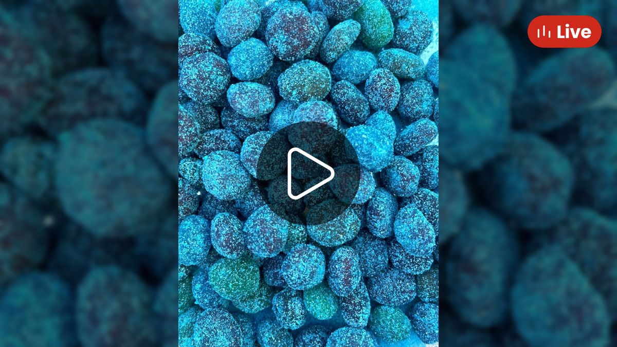 $1 Starts / Gushers & Freeze Dried Candy By Krunch Bites ...