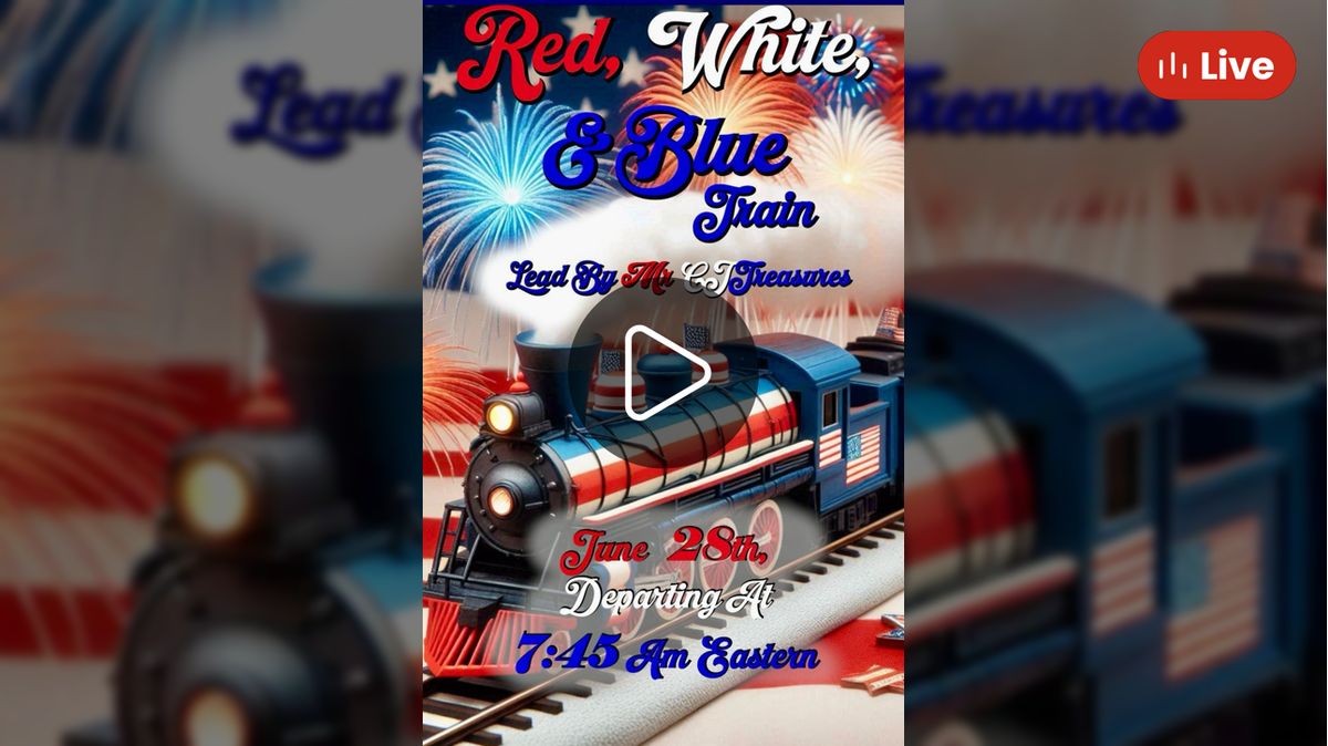 Red, White, & Blue Raid Train · @steffijosboutique · Whatnot: Shop ...