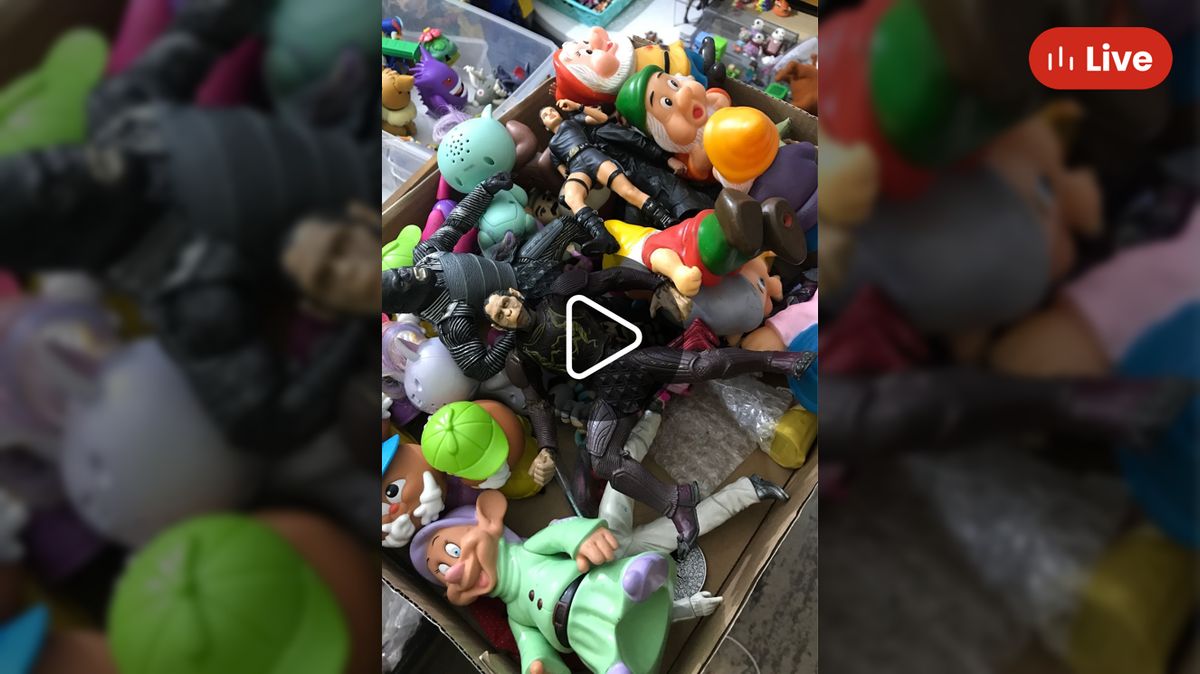 Super late Toy show LPS, lol, MLPs, Star Wars, Marvel/DC, vinyl nation ...