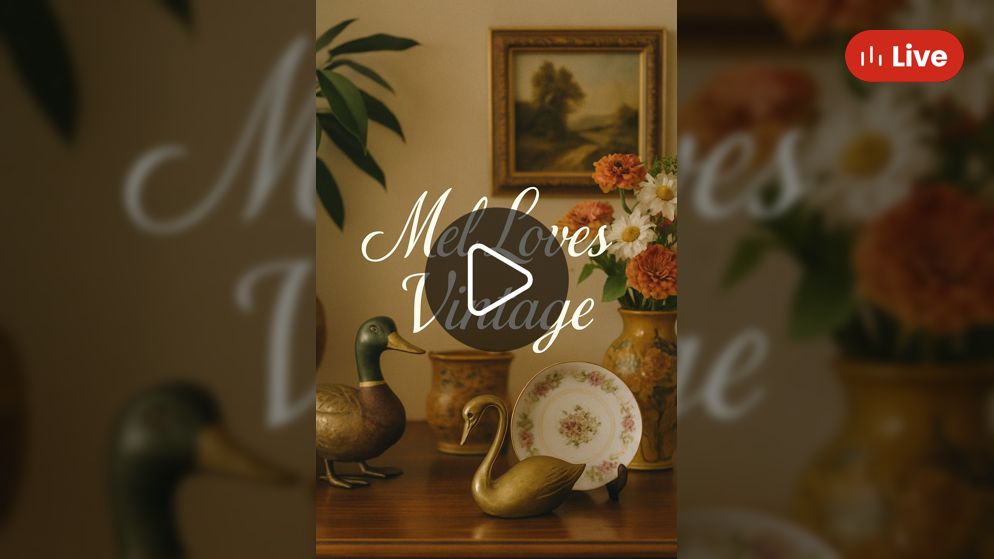 Thrifty Thursday with Mel- all new restock! 💙 · @mellovesvintage · Whatnot: Shop, Sell, Connect