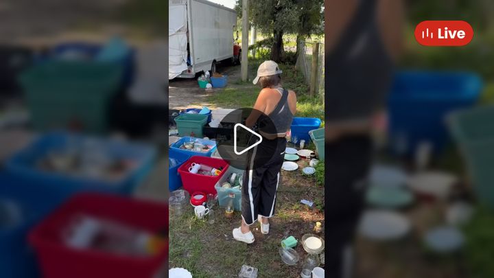 @modern_roots_n_rust's Livestream on Whatnot