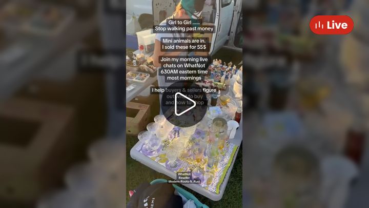 @modern_roots_n_rust's Livestream on Whatnot