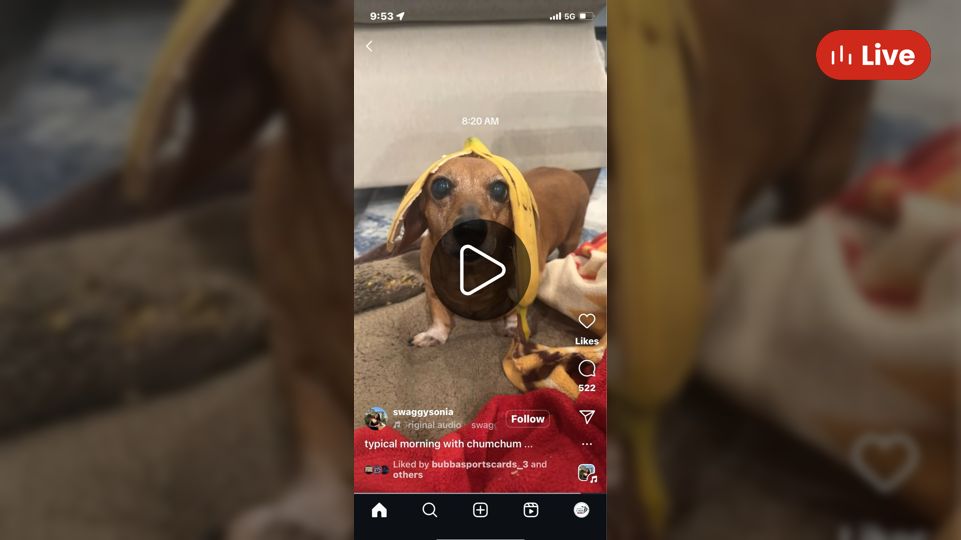 🔥😩Nuke Show💀🤤 · @hammys_cards777 · Whatnot: Shop, Sell, Connect