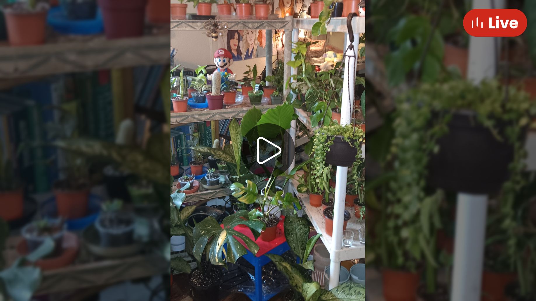 @cristals_eclectic_collections's Livestream on Whatnot