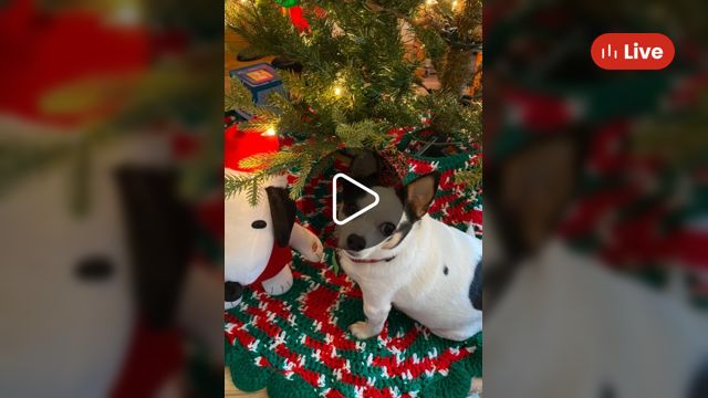 Whatnot - Christmas Jewelry Livestream by thrifty_treasures #vintage ...