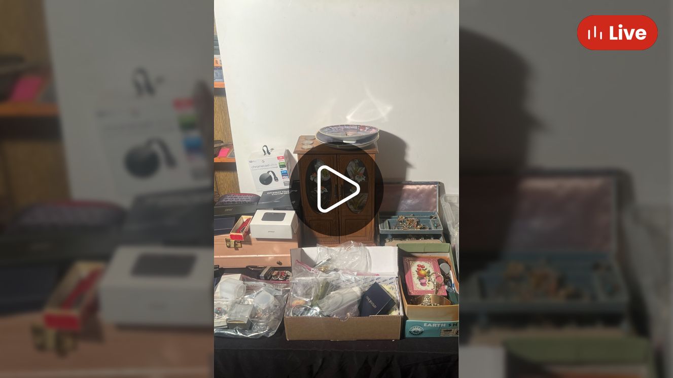 Whatnot - Storage Unit Find-Jewelry- Gold, Silver, Costume plus some ...