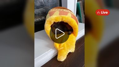 Whatnot - D23 Exclusive Pins, Merch, and Funkos! Livestream by iruceon ...