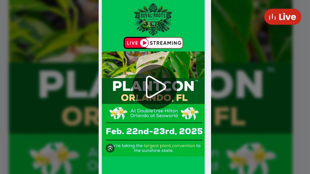 @royal_roots's Livestream on Whatnot