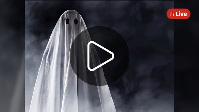 Whatnot - Ghosts Go Bump in the Night👻. Ghost From the Past 2 with Ghost Hunter John ...