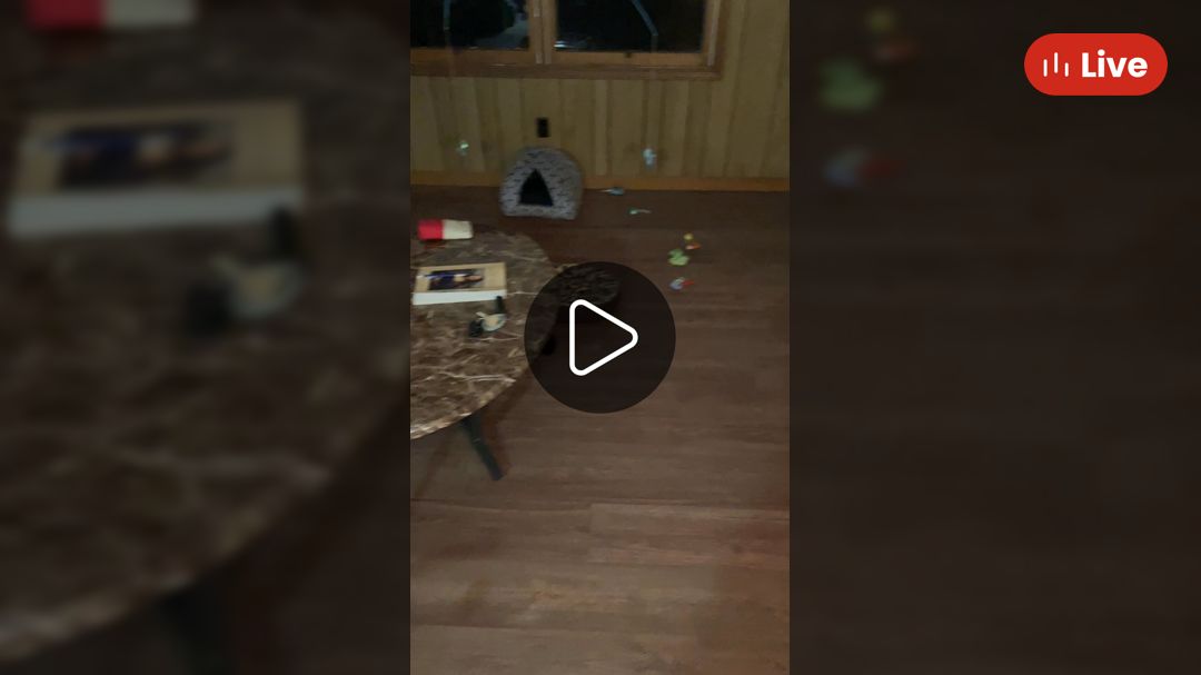 Kpop treasure trove · pauley2104 · Whatnot: Buy, Sell & Go Live