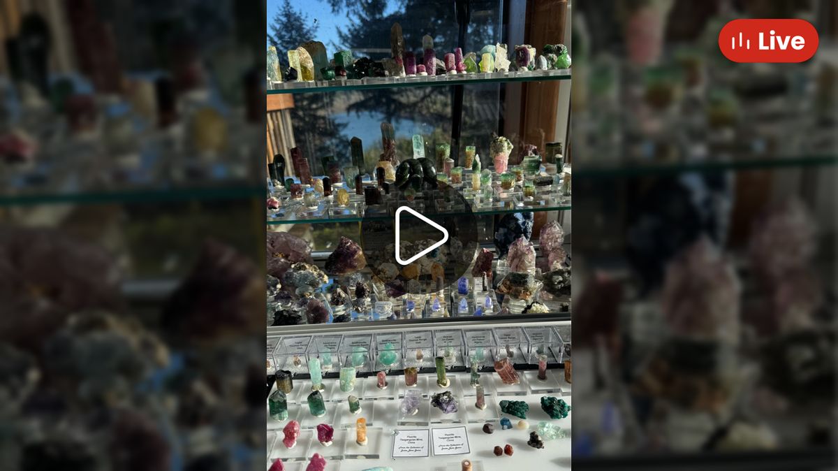 🧃🐐Juice Barr🐐🧃 · @juicebarrgemz · Whatnot: Shop, Sell, Connect