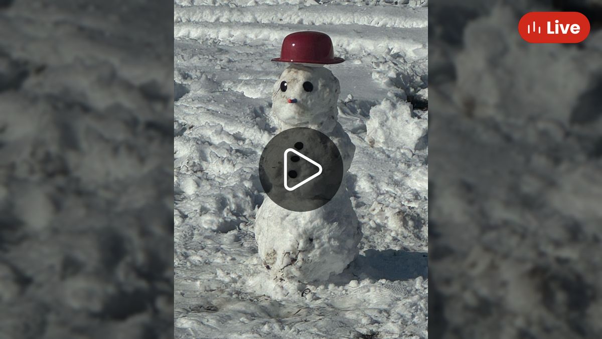 Christmas decor #3 · @juliem1111 · Whatnot: Shop, Sell, Connect