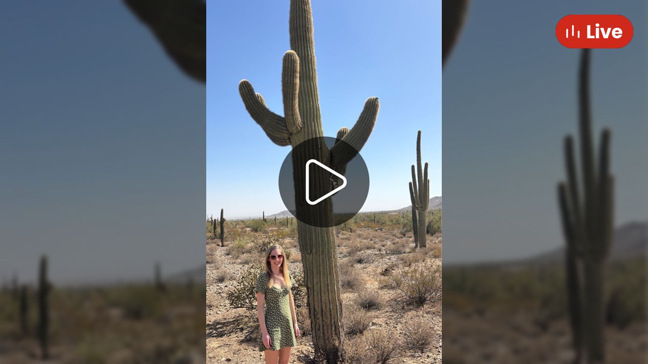 @eskee_knows_vinyl's Livestream on Whatnot