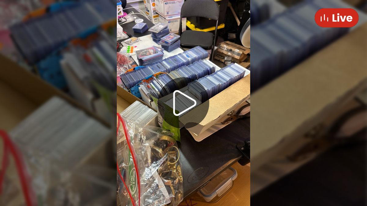 spark_of_adrenaline is live · Storage Unit Finds · Whatnot: Shop, Sell ...