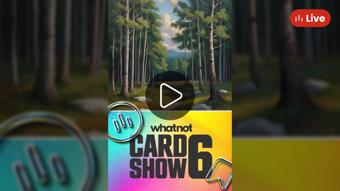 WCS 6! Hits🔥Deals🔥singles/bundles🔥 · @swirlyenigma17 · Whatnot: Shop ...