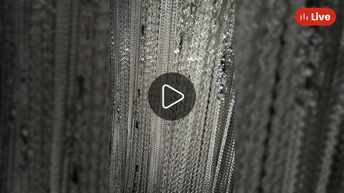 FRIDAY CHAIN GAME · chainplug · Whatnot: Buy, Sell & Go Live