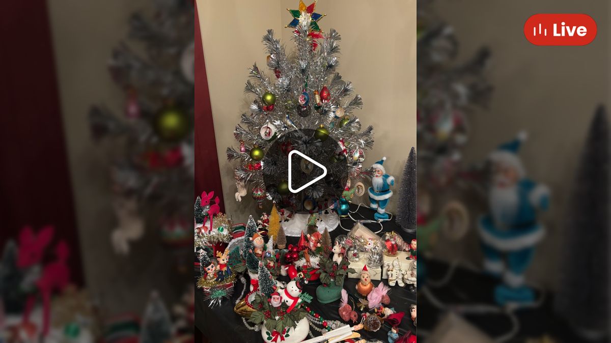 Always Christmas! · @belafest123 · Whatnot: Shop, Sell, Connect