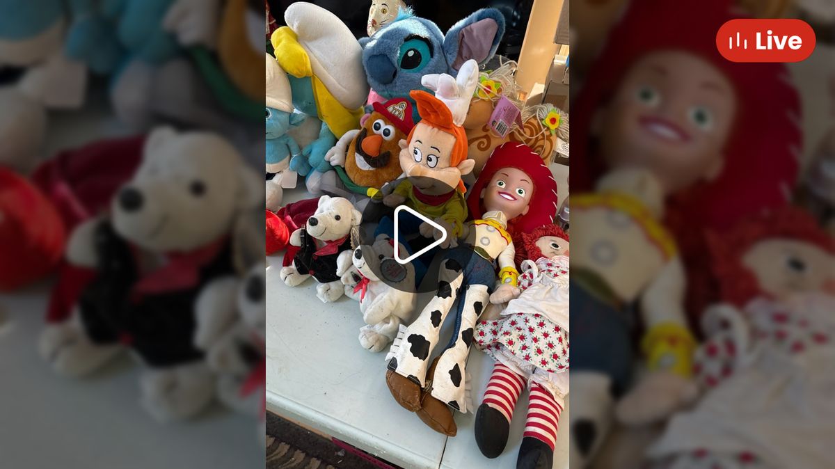 Pop Up Plush Stuffed Animals · @bittysmarket · Whatnot: Shop, Sell, Connect