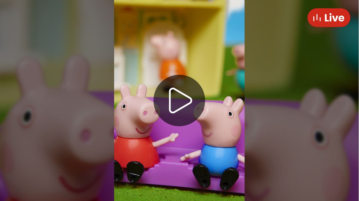 Calling all Peppa Pig Fans‼️ THIS IS FOR YOU🎉 Figures, Plush, Playsets ...
