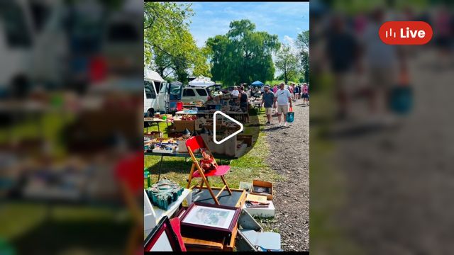 @penni's Livestream on Whatnot