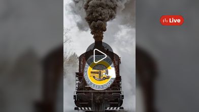 @coincity's Livestream on Whatnot